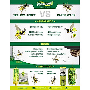 RESCUE! Yellowjacket Attractant – for RESCUE! Reusable Yellowjacket Traps – 4 Week Supply - 20 Pack