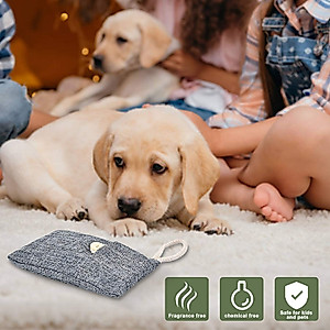 LighSele 15 Pack Charcoal Bags Odor Absorber, Bamboo Charcoal Air Purifying Bag, Nature Fresh Charcoal Air Purifier Bags for Home Shoes Pet Car Closet Fridge, Eco-Friendly & Chemical Free (15x100g)