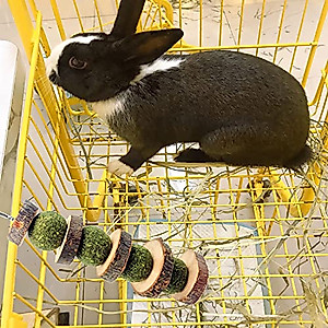 MYYZMY 3 Pcs Bunny Chew Toys, Rabbit Chew Toys for Teeth Grinding, Natural Organic Apple Wood Stick for Improve Rabbits Guinea Pigs Hamsters Dental Health