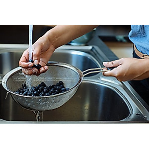 LiveFresh Large Stainless Steel Fine Mesh Strainer with Reinforced Frame and Sturdy Rubber Handle Grip - Designed for Chefs and Commercial Kitchens & Perfect for Your Home - 9 Inch / 23 cm Diameter