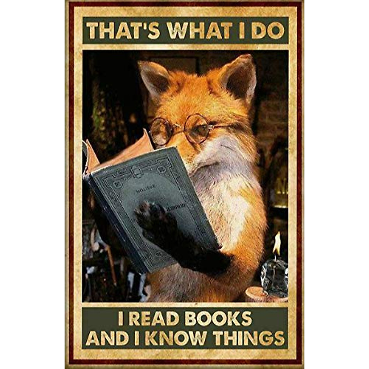 Fox That's What I Do I Read Books and I Know Things Metal Sign 12"x8" Book Lovers Living