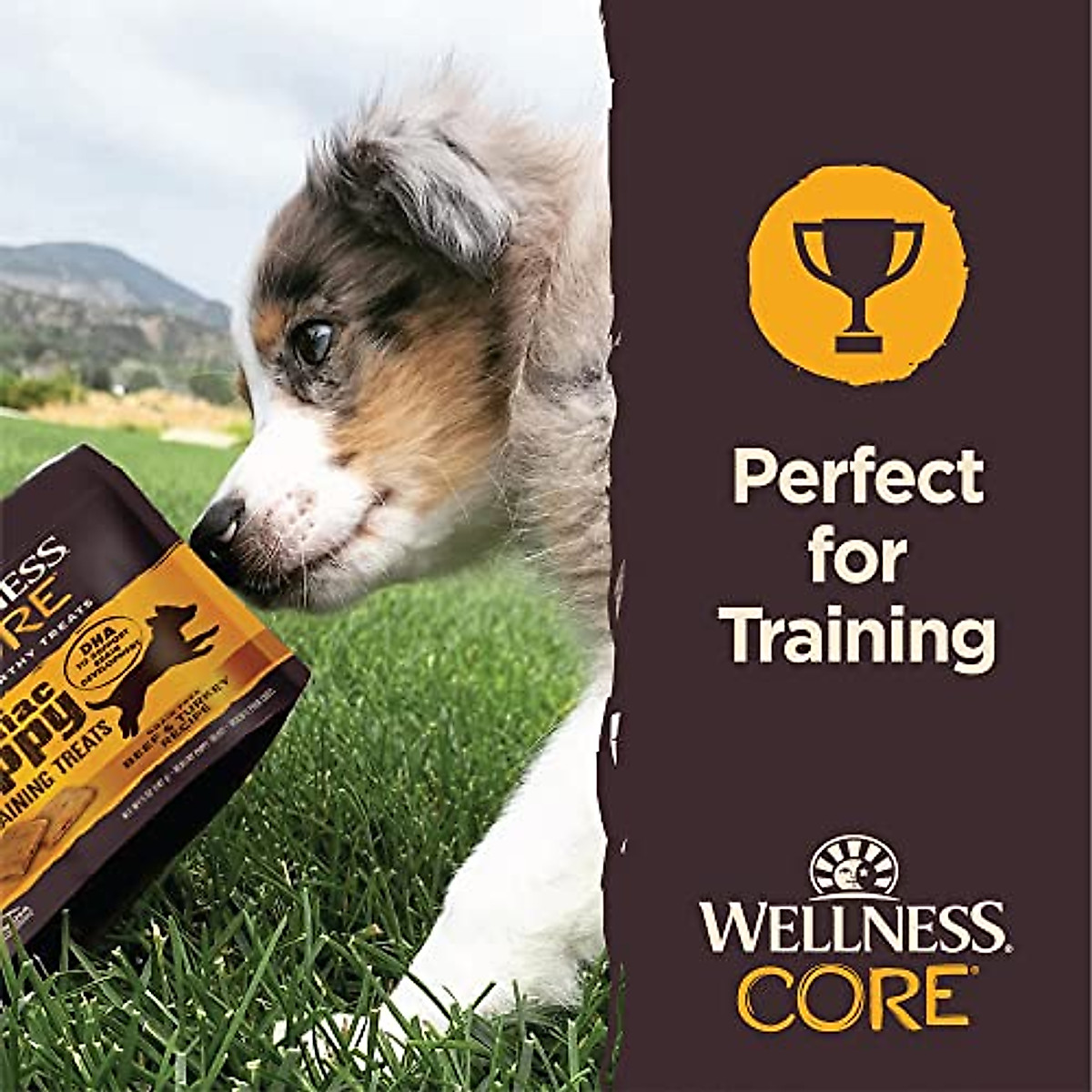 Wellness CORE Brainiac Puppy Soft Training Dog Treats (Previously Puppy Bites), Grain Free, Beef & Turkey, 5 Ounce Bag