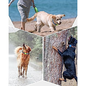 Dynmeow 1 Pack Airtag Dog Collar Holder, Stretchy Silicone Airtag Holder for Dog and Cat Collar, Anti-Lost Dog Airtag Holder Compatible with 3/4 and 1 inch Wide Collar (Purple)