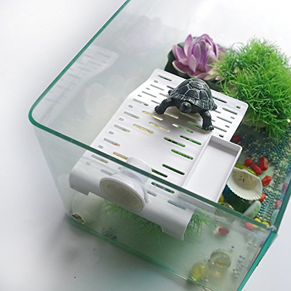 Pet Supplies Amphibian Reptile Turtle Floating Platform,Tortoise Basking Platform with Feeding Trough Food Bowl Double Suction Cup Aquarium Accessories,6.7" x 5.1" x 1.9" (Medium)