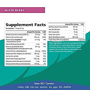 Pure Essence Labs Ionic Fizz Magnesium Plus, Anti-Stress Supplement Drink Powder, Gluten Free and Non-GMO Magnesium Powder (Mixed Berry, 6.03 Ounce (Pack of 1))
