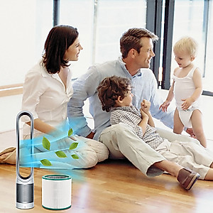 2 Pack Dyson TP02 Air Purifier True HEPA Filters Replacement for Dyson Pure Cool Link TP01, TP02, TP03, AM11, BP01 Tower Air Purifier, Compare to Part # 968126-03 2 Pack TP02 Air Purifier True Filters