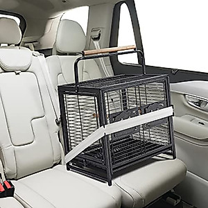 Topeakmart Travel Bird Cage Carrier for Small to Medium Sized Birds Lovebirds Parrotlet Conue Cockatiels with Handle Perch & Stainless Steel Bowls, Black