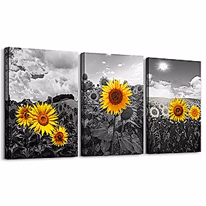 Canvas Wall Art For Living Room Family Wall Decor For Kitchen Black And White Pastoral Scenery Sunflower Flowers Bedroom Wall Painting Art Home Decoration Bathroom Wall Pictures Artwork 16x12 3 Piece
