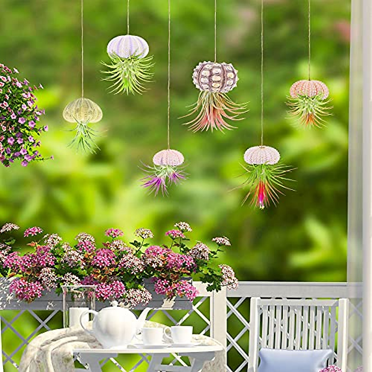 6PCS Hanging Air Plants Holders/Stand Mini Sea Urchin Shell Decorative Tillandsiat Succulent Air Plant Display Container for Home Office Wall Garden Beach Hawaii Theme Party Favors