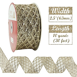 HUIHUANG Champagne Wired Ribbon 2-1/2", Glitter Diamond Wire Edge Ribbon Champagne Gold Christmas Ribbon for Holiday Tree, Bows Making, Wreath Supplies, Garland, Home Decor, Crafts -10 Yards