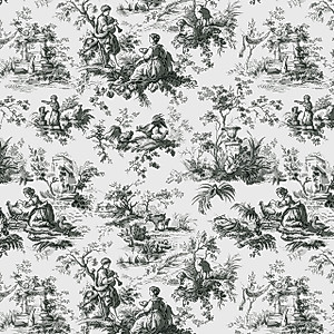 Stitch & Sparkle 100% Cotton Duck 45" Width Toile Grey Color Sewing Fabric by The Yard D023G0404