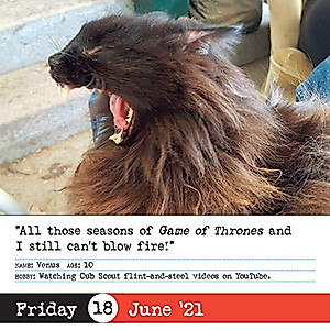 Bad Cat Page-A-Day Calendar 2021