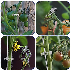 200PCS Plant Support Garden clips, Vegetable Cages and Supports, Garden Trellis for Climbing Vine Plants, Supports Clip for Tomato Grape Melon, Makes Garden Crop to Grow Upright and Healthier