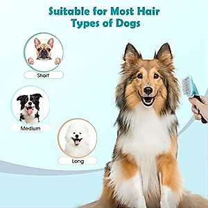 Slicker Brush, PETPAWJOY Dog Brush Gently Cleaning Pin Brush for Shedding Dog Hair Brush for Small Dogs (Small-Blue)