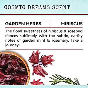 Malicious Women Candle Co - She Believed She Could. But was Really Tired. So She Didn't, Vanilla Cupcake Infused with Naps & Snacks, All-Natural Soy Candle, 9 oz