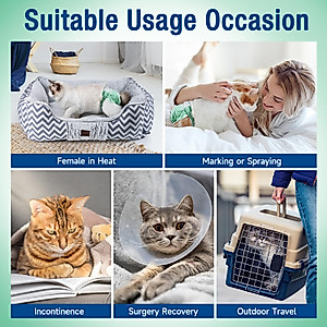 Pet Soft Disposable Cat Diapers - Diapers for Female & Male Cats, Puppy Doggie Diapers for Female Dogs with Adjustable Foam Tail Hole, Medium (24Pcs, Green)