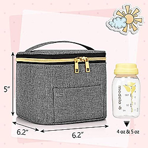 Teamoy Breastmilk Cooler Bag, Baby Bottles Bag for up to 4 Large 5 Ounce Bottles Without Nipple, Perfect for Working Mom Mother, (Bag ONLY), Gray