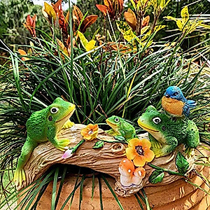 iRonrain Solar Garden Statues Frog, Outdoor Art Decor Figurine Waterproof Lights with Frogs Bird Mushroom & Flowers, Garden Sculpture Ornament for Spring Lawn Yard Thanksgiving Christmas (Frog)