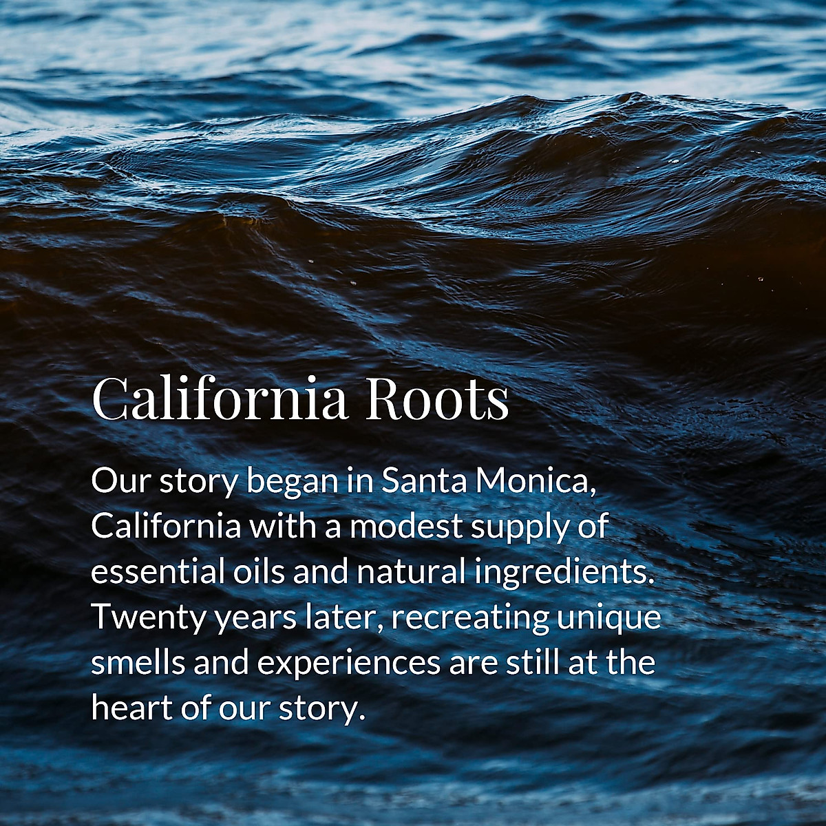 Archipelago Botanicals Black Forest Travel Tin Candle, Dark Ebony Wood, Douglas Fir and Black Currant Scent, Lead-Free Candle Wick, Burns Approx. 30 Hours (5.7 oz)