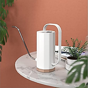 TENAGE Spray Bottle Gardening Watering Can Flower Potted Watering Can Long Mouth Stainless Steel Curved Mouth Watering Can