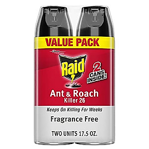 Raid® Ant & Roach Killer Spray, Fragrance-Free, 17.5 Oz, Pack Of 2