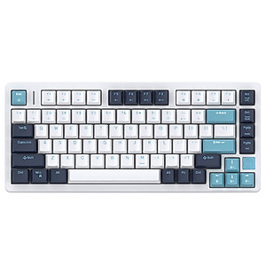 IROK FE75Pro Wireless RGB Hot Swappable Mechanical Keyboard, Three-Layer Dampening 81 Keys Gaming Keyboard, Customizable Backlit, USB-C/2.4GHz/Bluetooth- White/Blue