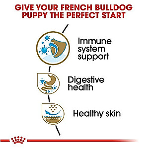 Royal Canin Breed Health Nutrition French Bulldog Puppy Dry Dog Food, 3 lb