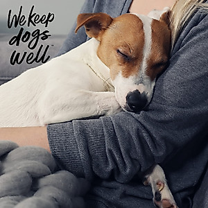 DOGSWELL Remedy and Recovery Diarrhea Control for Dogs, 8 oz. (Packaging May Vary)