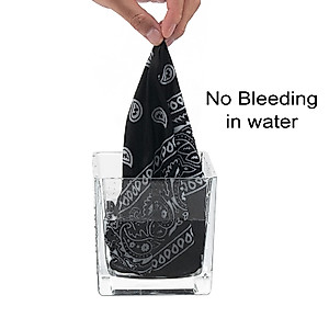 cocopuss 22"X22" Cotton Bandanas for Men & Women Pasiley Cowboy Bandana Handkerchiefs for Hair