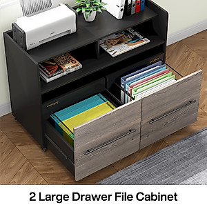Tribesigns 2 Drawer File Cabinet Rolling Filing Cabinets for Home Office Grey lateral File Cabinet Wood File Cabinet for Letter Size, Printer Stand with Rolling Wheel and Open Storage Shelves