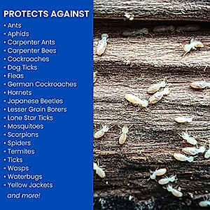 BioAdvanced Carpenter Ant & Termite Killer Plus, Ready-to-Use, 1 Gal