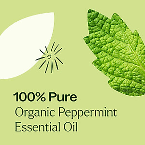 Plant Therapy Organic Peppermint Essential Oil 100% Pure, USDA Certified Organic, Undiluted, Natural Aromatherapy, for Diffuser, Skin, Hair, Therapeutic Grade 10 mL (1/3 oz)