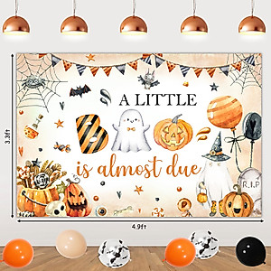 JOYMEMO Orange and Black Halloween Baby Shower Decorations, A Little Boo is Almost Due Backdrop, Banner, Cake Topper with Cupcake Toppers for Women Boy Girl He or She Gender Reveal Party Supplies