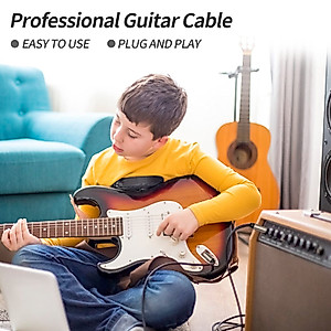 ARLX Guitar Cable 10 Feet Professional Guitar Amp Cord 1/4 inch Instrument Cable, Electric Bass Guitar Cable
