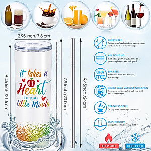 Patelai 2 Pieces Teacher Nurse Appreciation Gifts 20 oz Stainless Steel Water Tumbler with Lid Straw Brushes Thank You Graduation Birthday Gift for Teacher and Nurse(Dreamy)