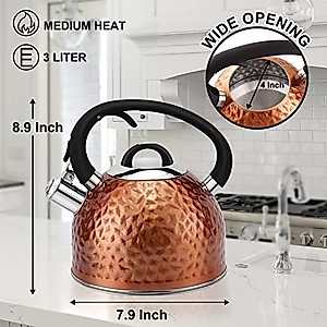 HRHongRui Copper Tea Kettle Stainless Steel Teapot Whistling Kettle Unique Button Control Kettle Outlet Loud Whistle Food Grade Teapot 3.2 Quart / 3 Liter Bronze