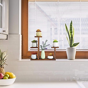 COOGOU Wood Desktop Plant Stand Indoor Small Windowsill Flower Shelf Tabletop Plant Shelf Holder Display Rack for Succulent Herb in Living Room Office