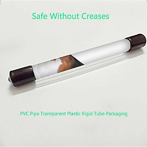 Cinnamon White Window Privacy Film Frosted Glass Window Film Stained Glass Window Film Window Cling Privacy Film UV Blocking Beagle Dog Posing Frosted Glass Film 27.6Wx47.2L-inch x2 Pcs