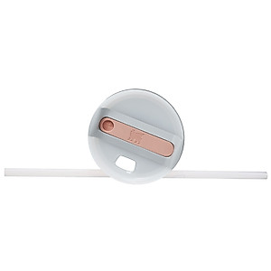 Stanley Quencher H2.0 FlowState Stainless Steel Vacuum Insulated Tumbler with Lid and Straw for Water, Iced Tea or Coffee, Smoothie and More, Rose Quartz, 40 OZ / 1.18 L