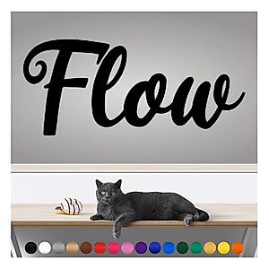 Transform Your Walls with Professional Grade, Outdoor Weatherproof Vinyl Stickers - Happy Sunday - UV Resistant, Made in The USA! Inspirational Words: Flow: 14 Inch, Satin Silver