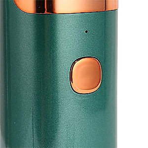Professional Fogger Machine, 1000mAh Rechargeable Electric Fogger Machine, Handheld Atomizer Sprayer Atomizer Sprayer Machine Handheld Fogger Mist Machine for Home, Office, School, Garden(green)