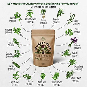 18 Culinary Herbs Seeds Variety Pack - Heirloom, NON-GMO, Herbs Seeds for Planting Outdoor and Indoor - Home Gardening. Over 5000+ seeds including Rosemary, Thyme, Oregano, Mint, Basil, Parsley & More
