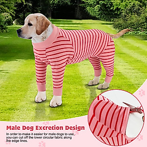Rypet Dog Recovery Suit Dog Onesie Surgery Recovery Suit for Large Medium Bodysuit Dogs Pajamas Anti Shedding Bodysuit for Female Male for Shedding Prevent Licking Surgical Wound(4XL)