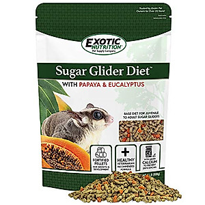 Sugar Glider Diet with Papaya and Eucalyptus (2 lb) - High Protein All Natural Healthy Sugar Glider Food - Nutritionally Complete Staple Diet