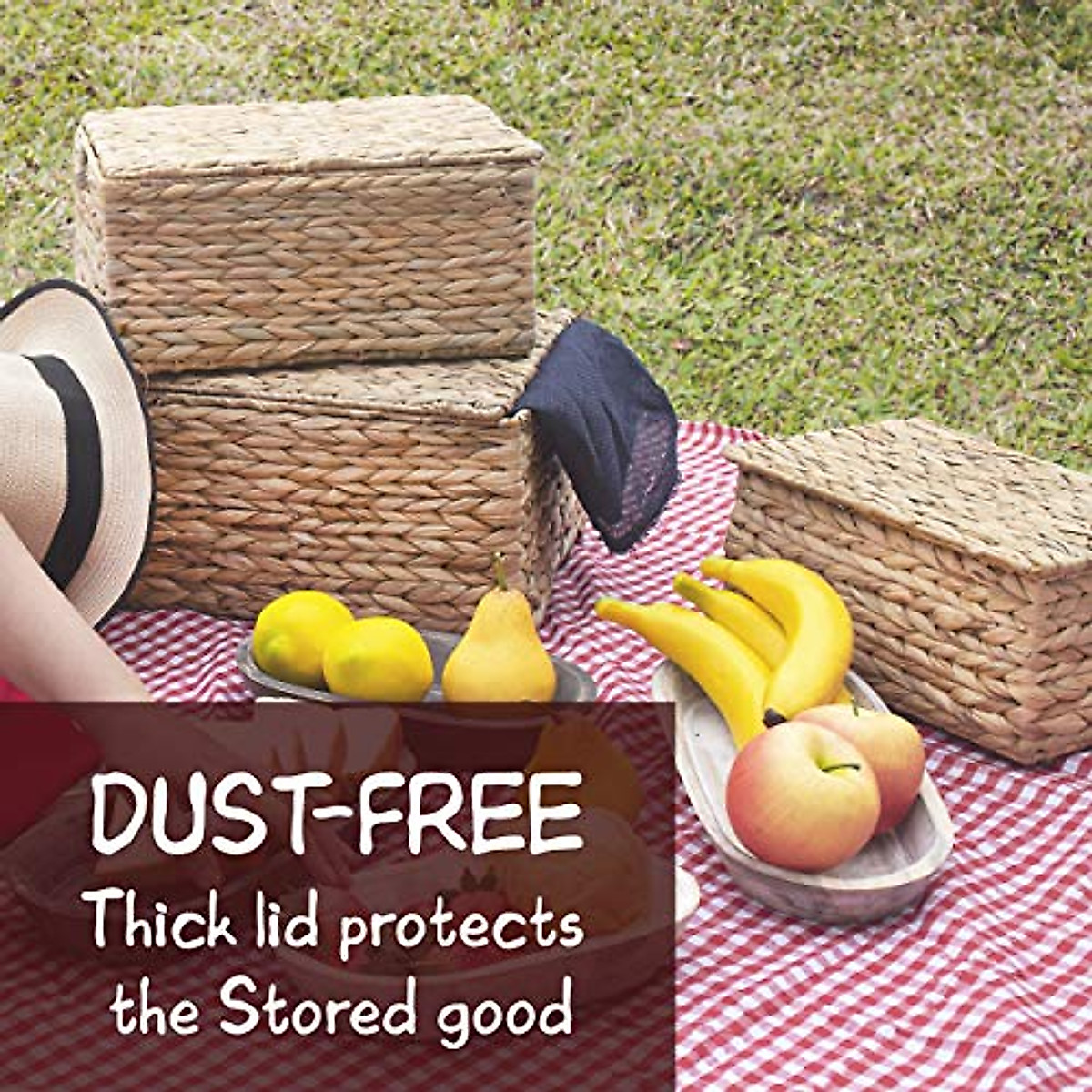 Set of 3 Pack Nesting Storage Baskets with Lids and Insert Handles for Home Organization | Small Closet Wicker Lidded Baskets for Shelves | Straw Wire Woven Storage Baskets with Lids (Water Hyacinth)