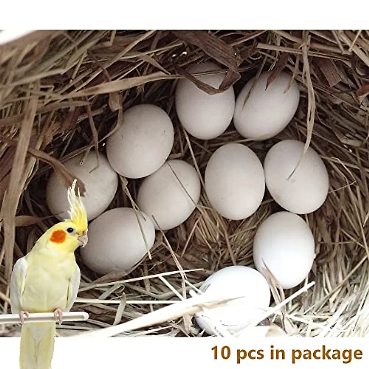 MESINURS Solid Plastic Eggs - Parrot Bird Hatching Replacing Eggs for Guiding Birds to Stop Laying, 10 PCS (S)