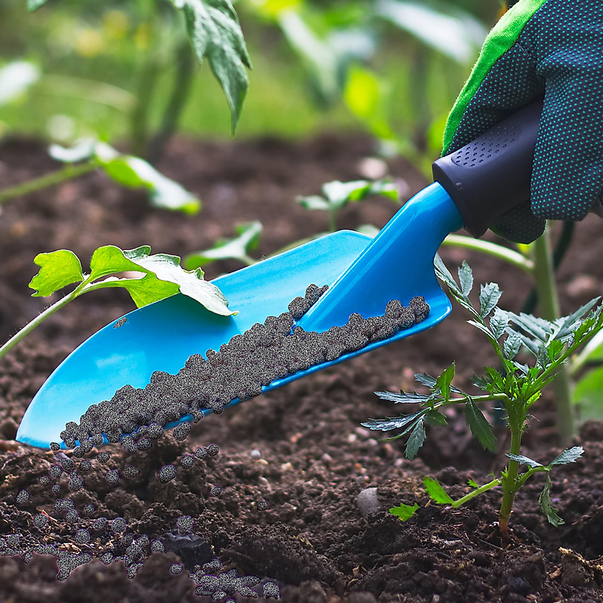 Jobe’s Organics 09226NA Granular Plant Food Fruit & Citrus, 4lbs, Brown