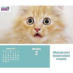 2023 What Do You Meme? Day-at-a-Time Box Calendar