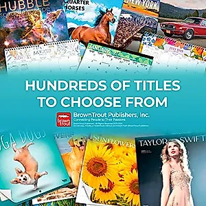 Cows | 2024 12 x 24 Inch Monthly Square Wall Calendar | BrownTrout | Domestic Farm Animals