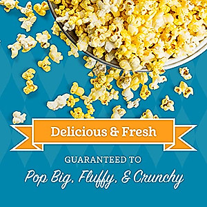 Franklin’s Gourmet Popcorn All-In-One Popcorn Packs for Popcorn Machine - 4oz Pack of 10 - Made in USA - Classic Popcorn Bags with Buttery Salt & Oil